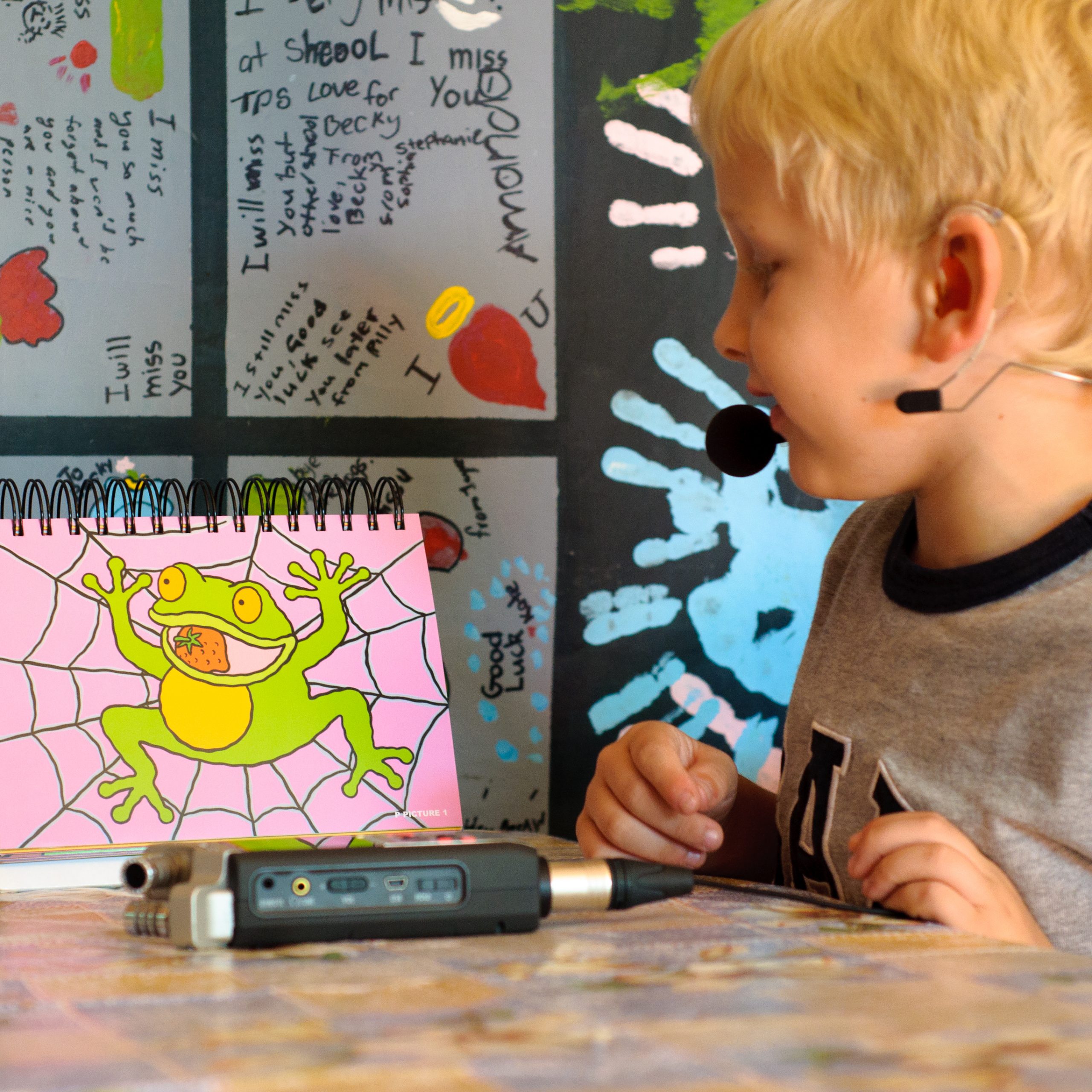 Seeds of language development (IDEAL) - NAL