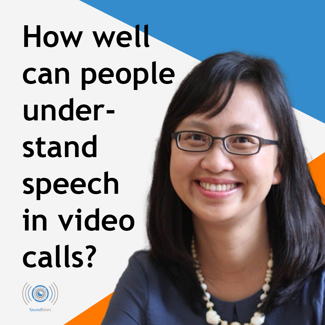 How well can people understand speech in video calls? - NAL