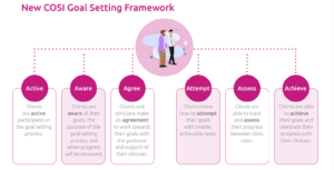 Enhancing the COSI goal-setting discussion - NAL